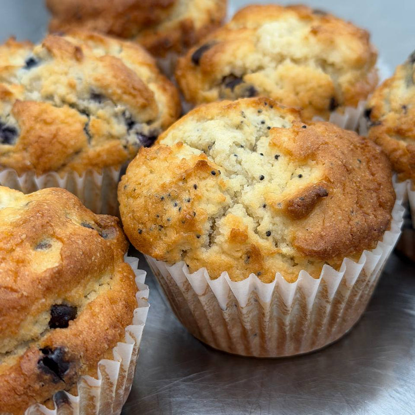 No Sugar Added Chocolate Chip Muffin | Gluten Free | SW Portland ...